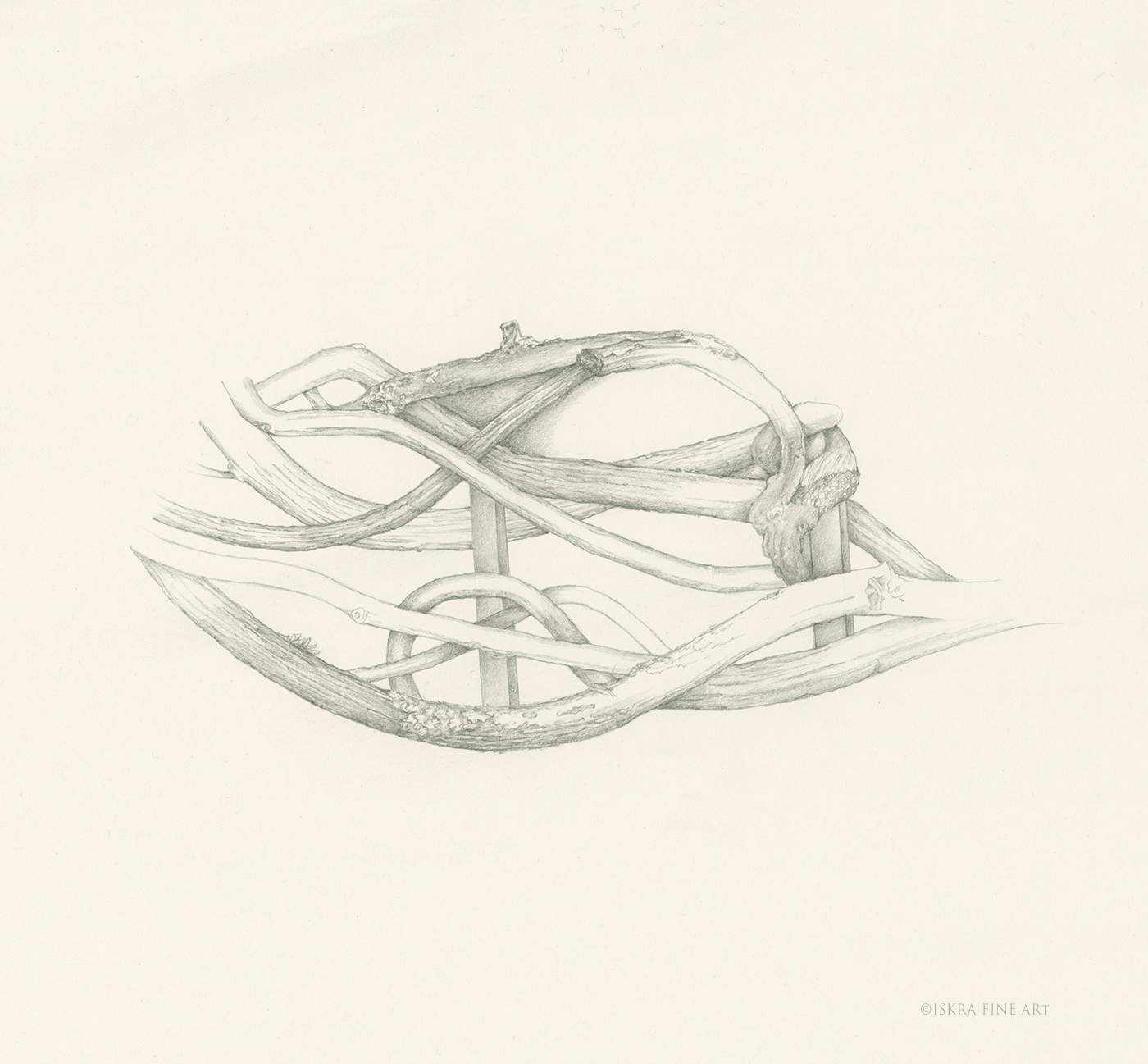 Fine Art Pencil Drawings
