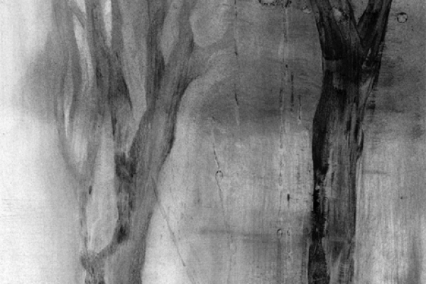 Drawings in Dust 1 - Iskra Fine Art