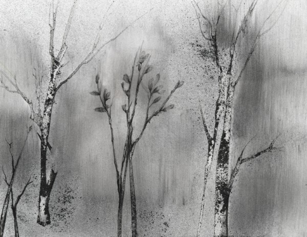 Grove, charcoal dust drawing - Iskra Fine Art